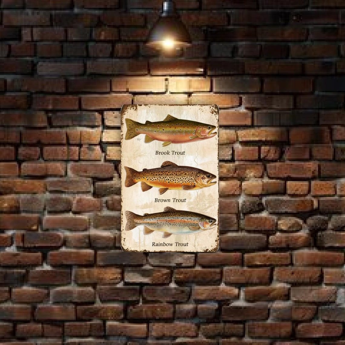 Rustic Trout Species Sign – Brook, Brown, and Rainbow Trout ...