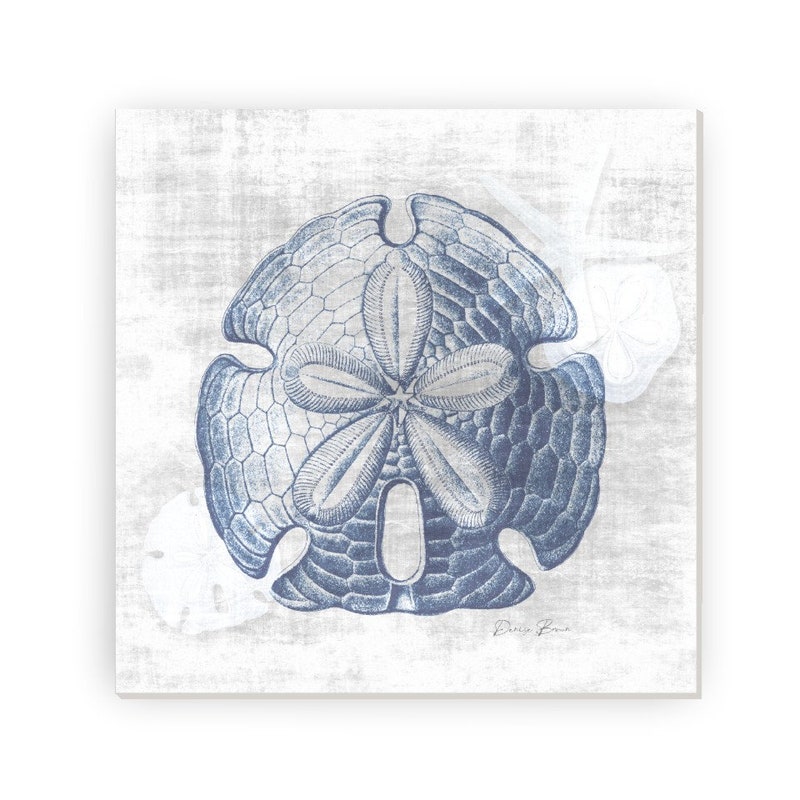 White Sand Dollar Sign - Etsy