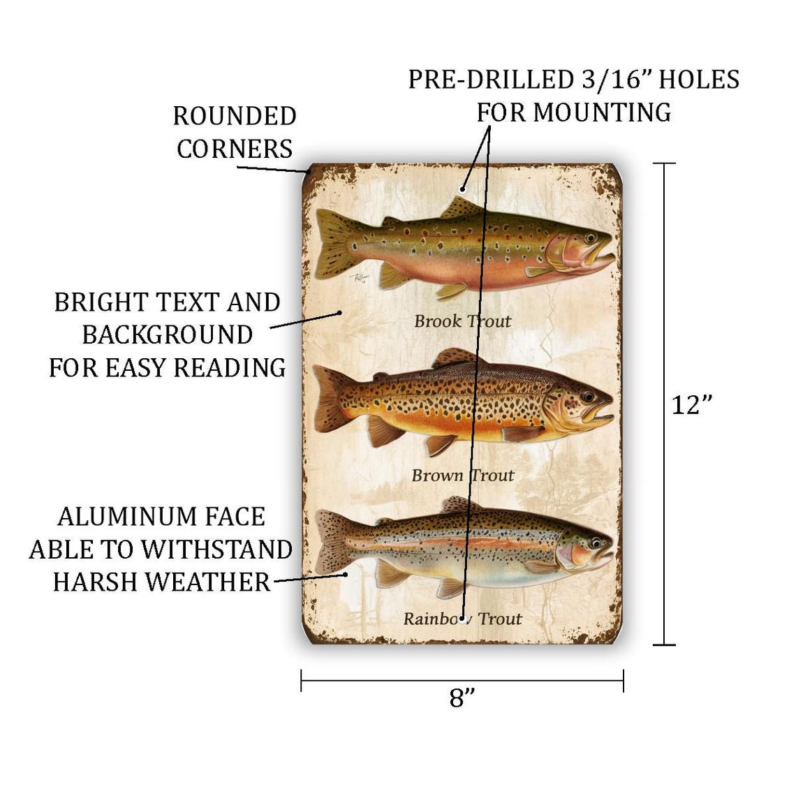 Rustic Trout Species Sign – Brook, Brown, and Rainbow Trout ...