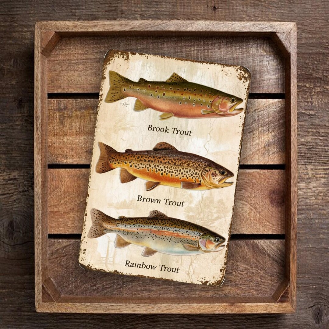 Rustic Trout Species Sign – Brook, Brown, and Rainbow Trout ...