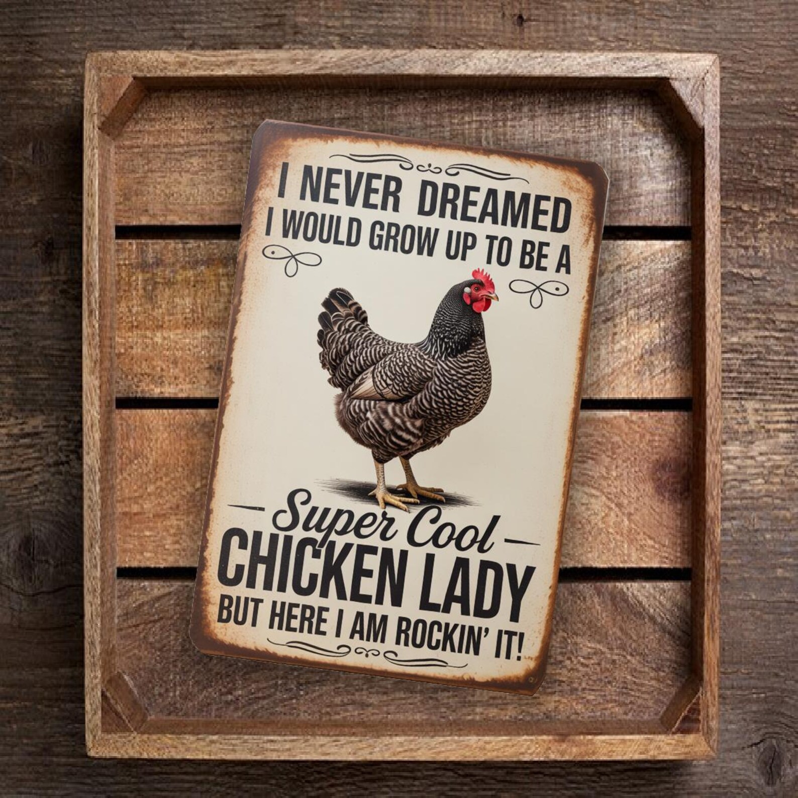 Super Cool Chicken Lady Sign – Funny Farmhouse Wall Decor, Vintage ...