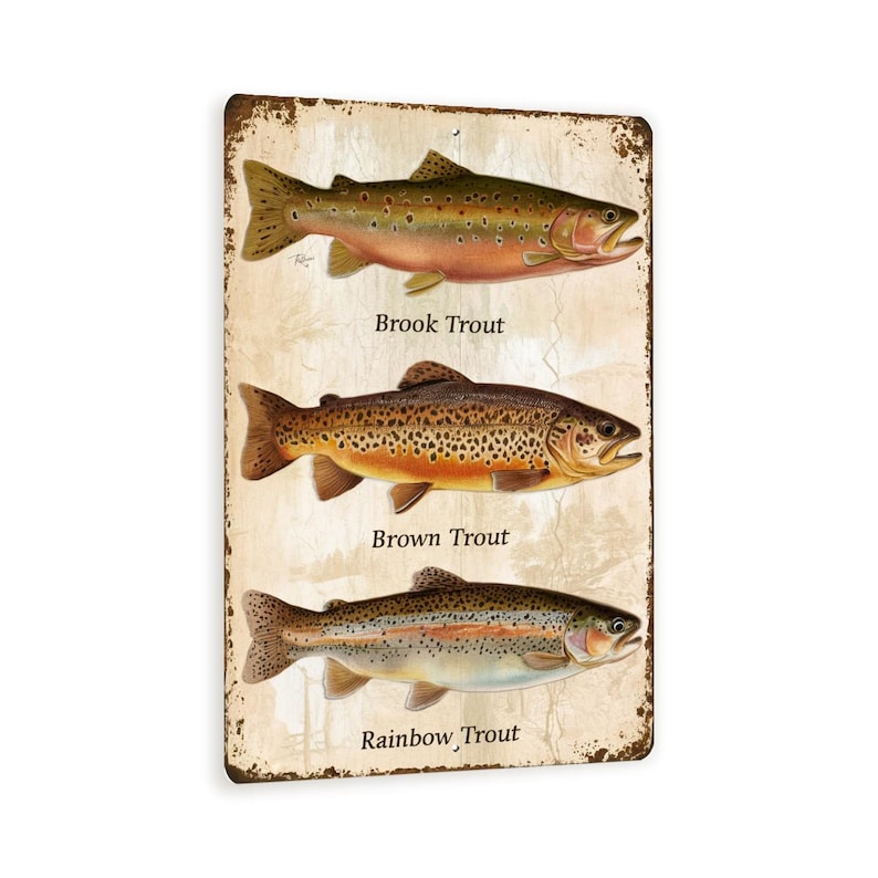 Rustic Trout Species Sign – Brook, Brown, and Rainbow Trout ...