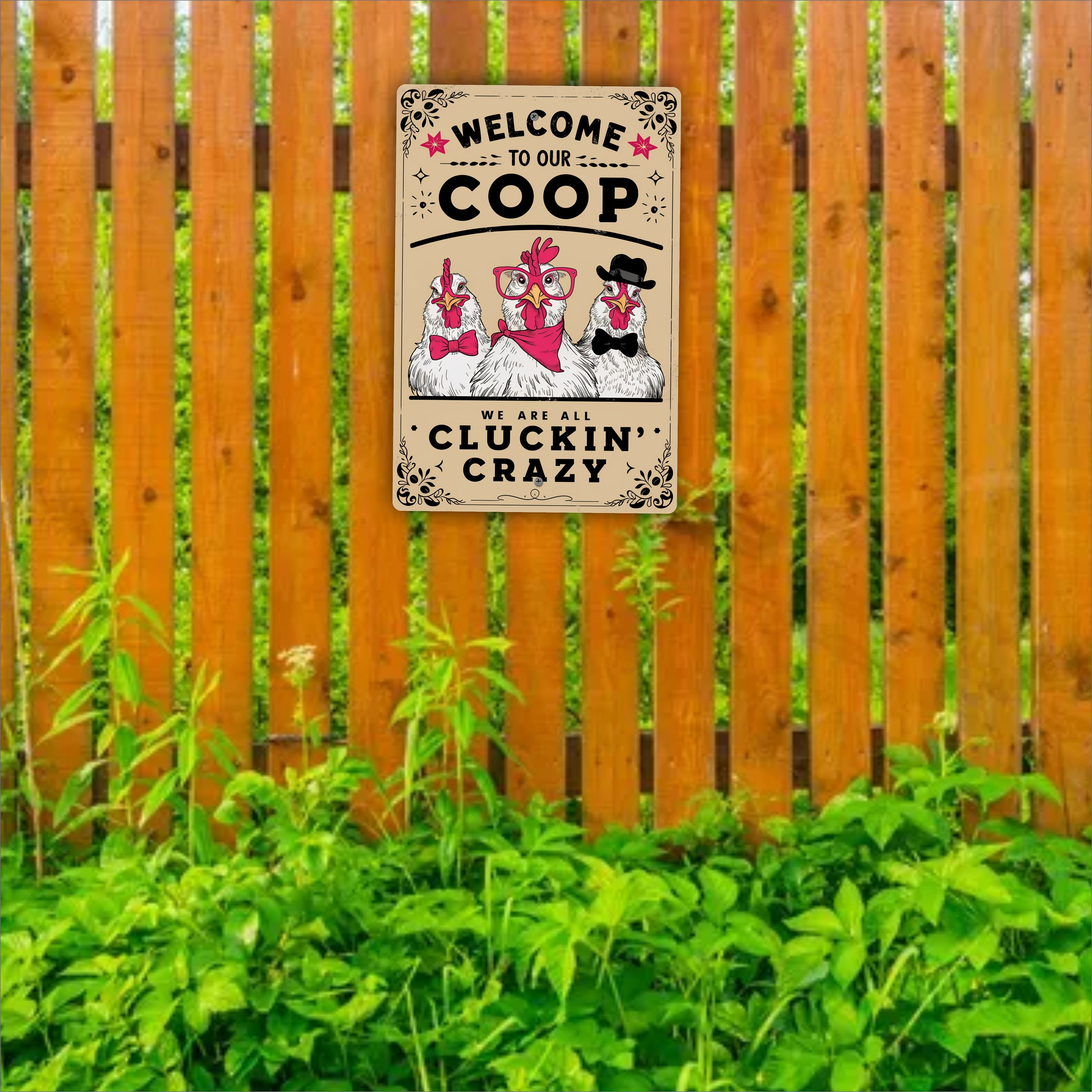 Funny Chicken Coop Sign - 8x12 Inch 'welcome to Our Coop. We Are All ...