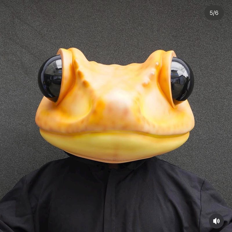 Bad bunny frog halloween costume - Etsy.de