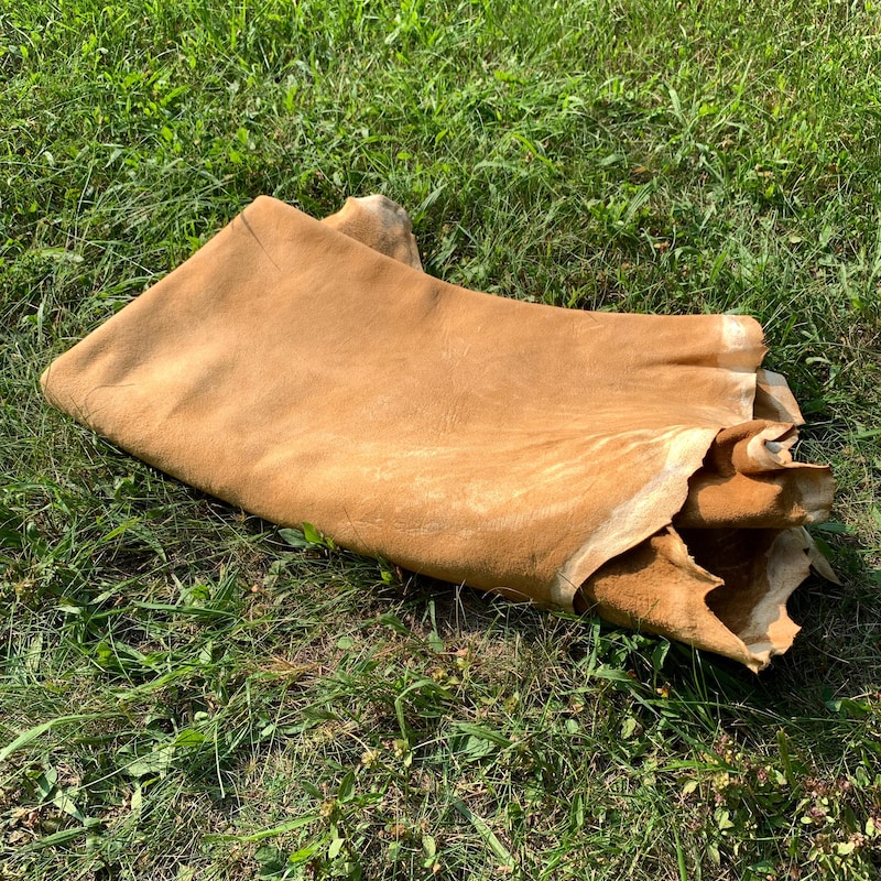 Deer Hide - Etsy