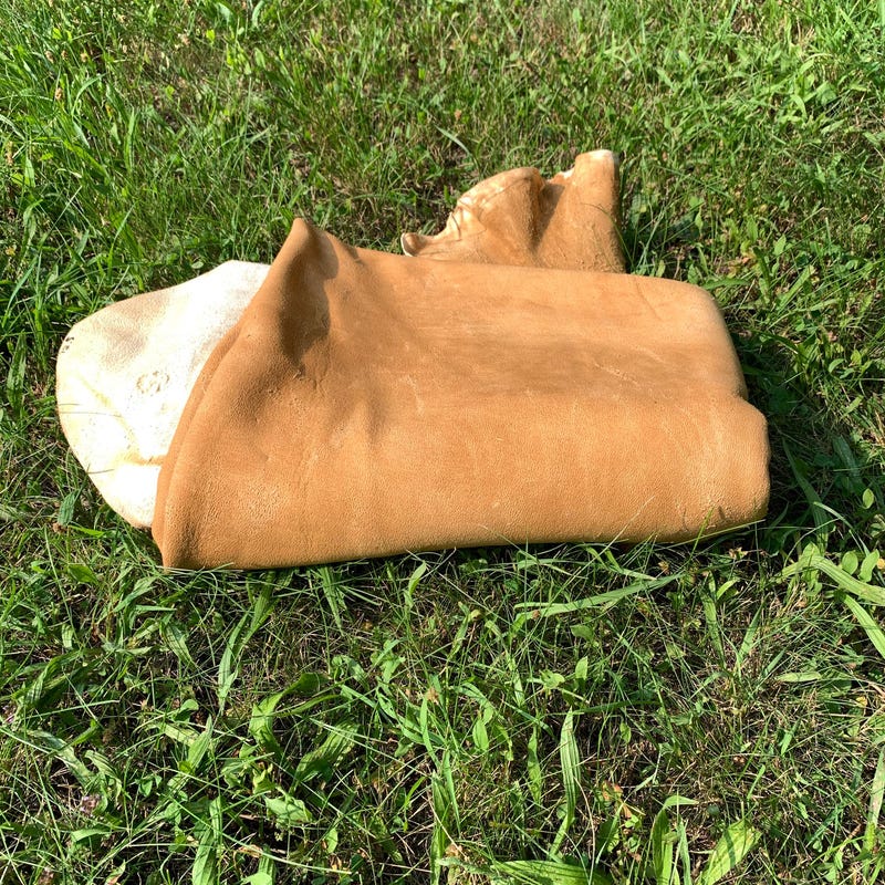 Buckskin - Etsy