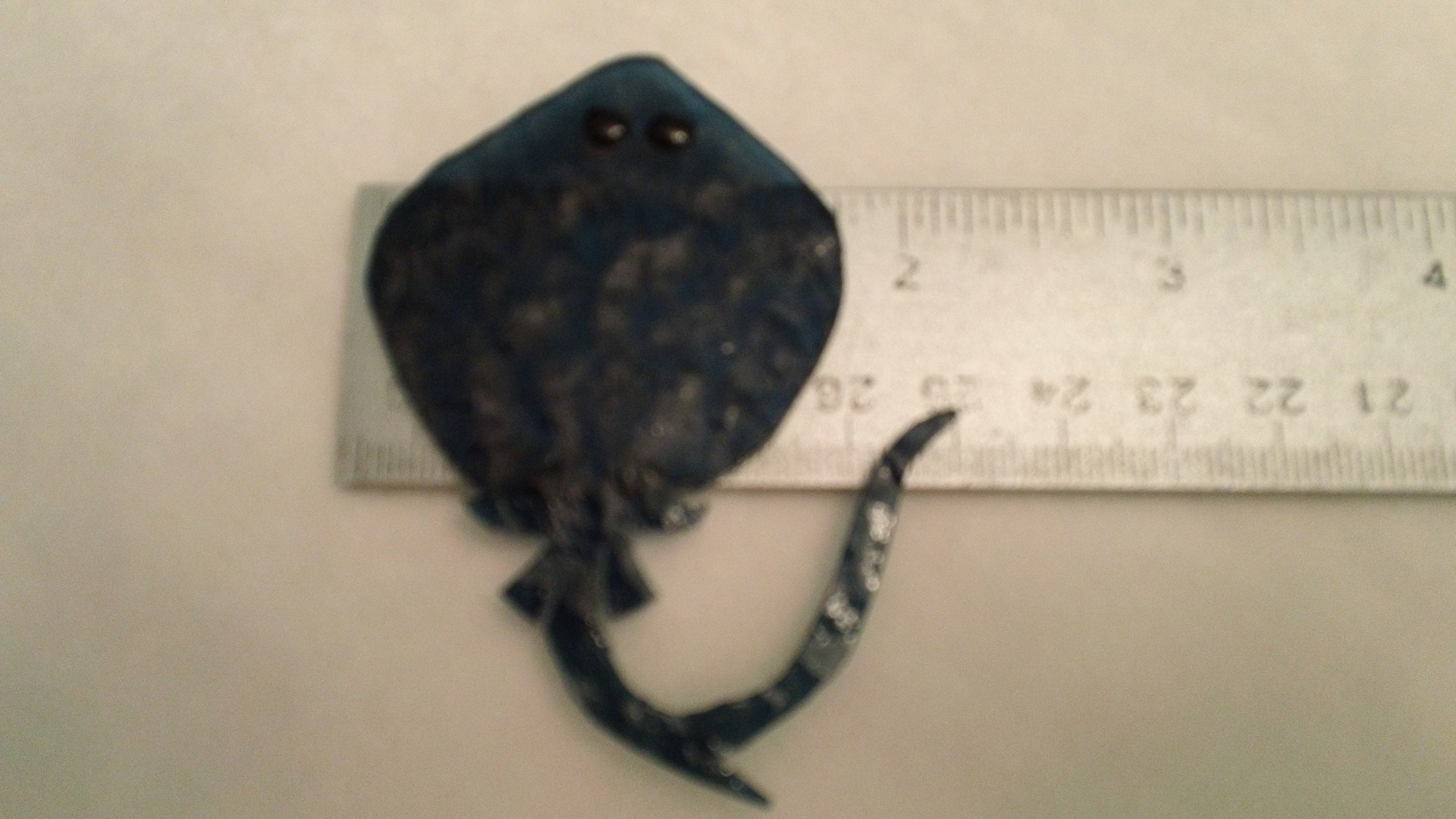 Fused Glass, Stingray, Tropical Fish, Blue Green Stingray - Etsy