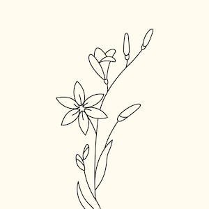 Simple Flower Sketch 1 - Etsy