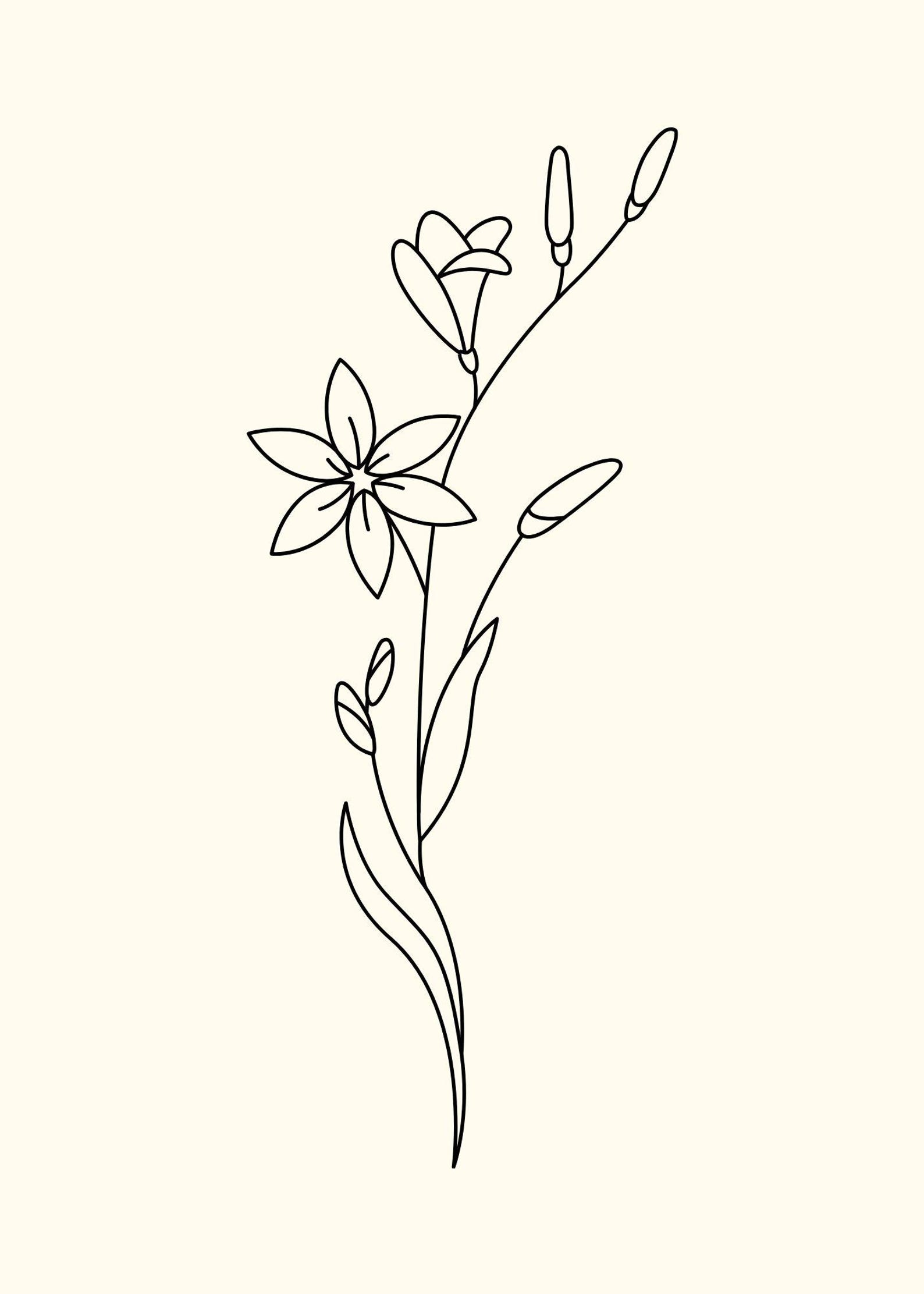 Simple Flower Sketch 1 - Etsy