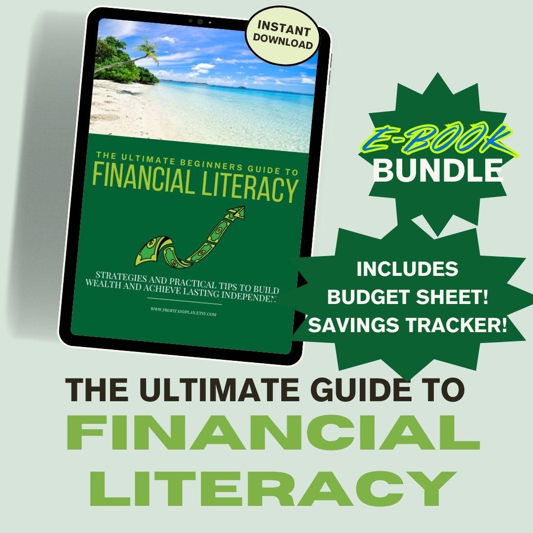 Financial Literacy Bundle | Personal Finance | Includes E-book,budget ...