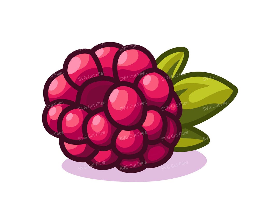 Raspberry SVG, Sweet Clipart, Summer Shirt PNG - Etsy