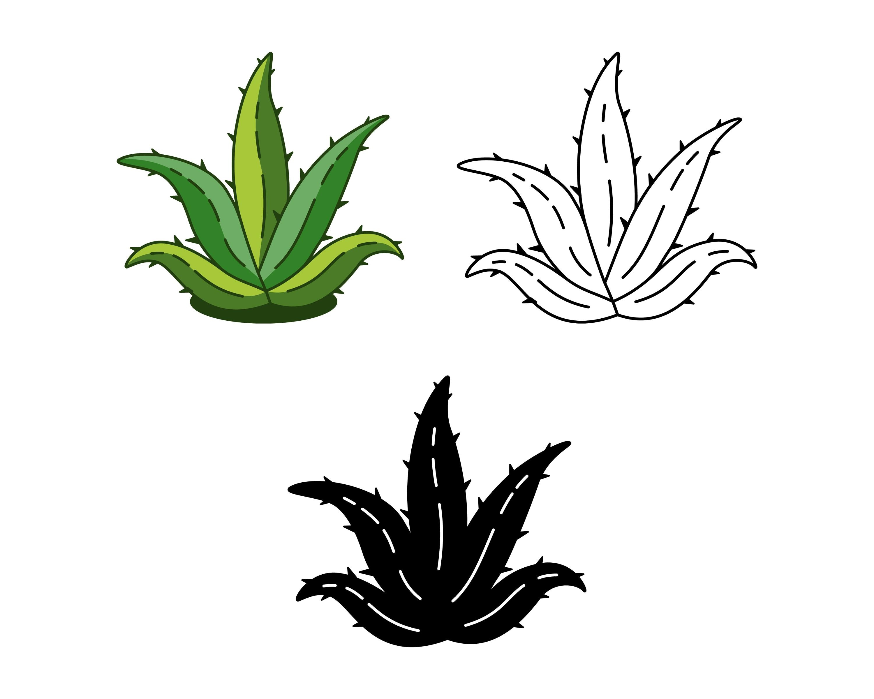 Mexican Agave SVG, Desert Succulent Clipart, Texas Tequila PNG - Etsy