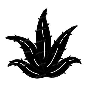Mexican Agave SVG, Desert Succulent Clipart, Texas Tequila PNG - Etsy