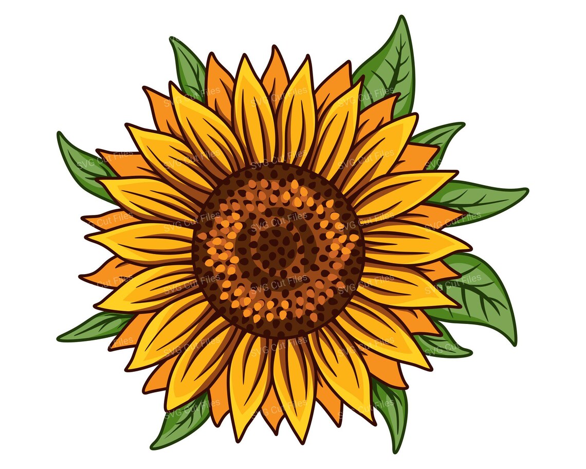 Sunflower SVG Bundle, Ukrainian Floral PNG Clipart - Etsy