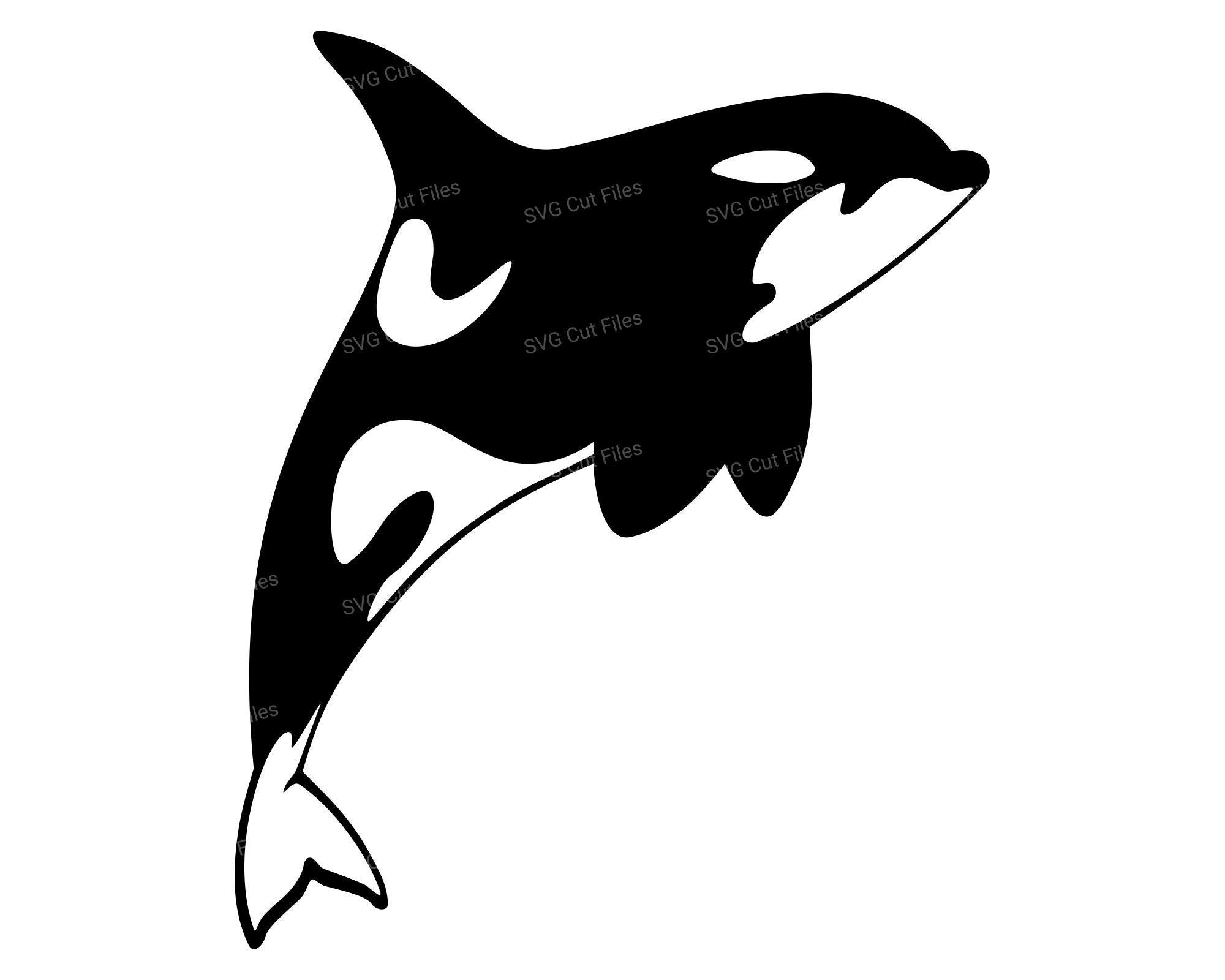 Orca Whale SVG Bundle, Cartoon Killer Whale Clipart, Digital Download ...