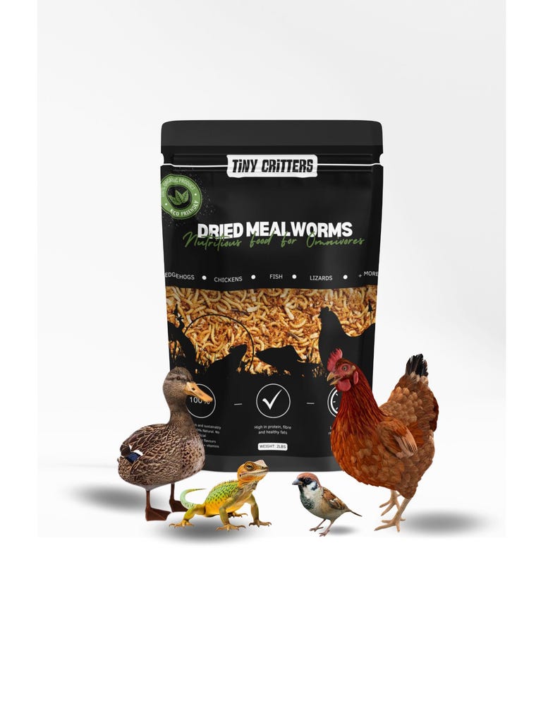 Tiny Critters- Dried Mealworms - Etsy
