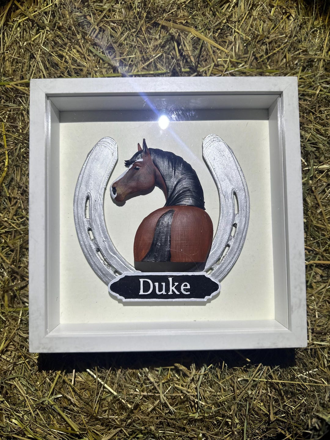 Single Horse Memorial Shadow Box - Etsy