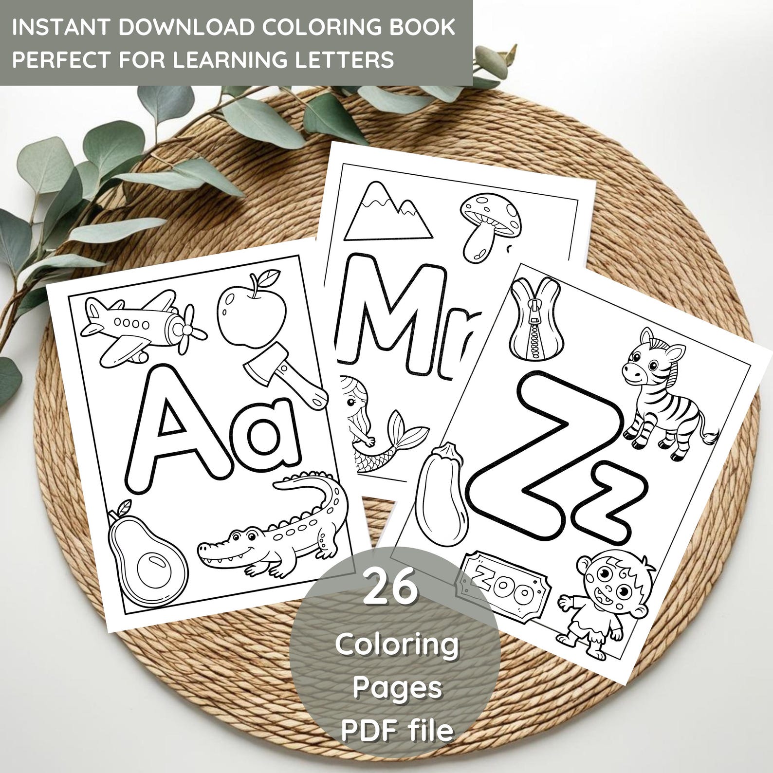 ABC Preschool Curriculum Coloring Book | Baby's First ABC Book ...