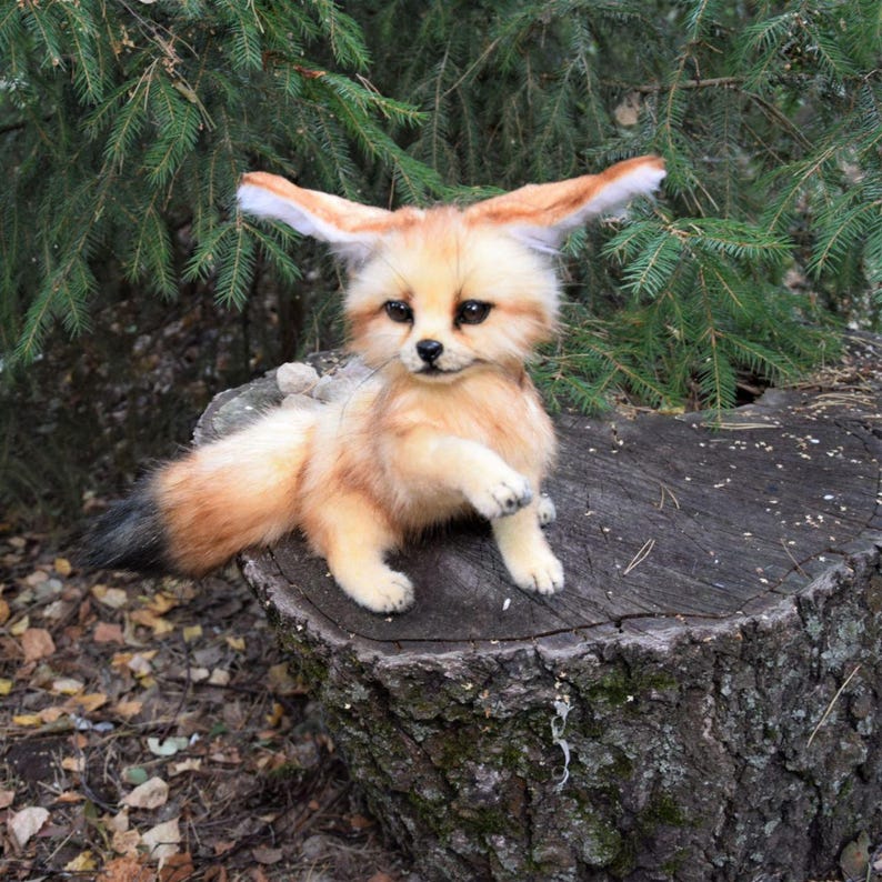 Realistic Handmade Fennec Fox Plush | Lifelike Desert Fox Replica - Etsy