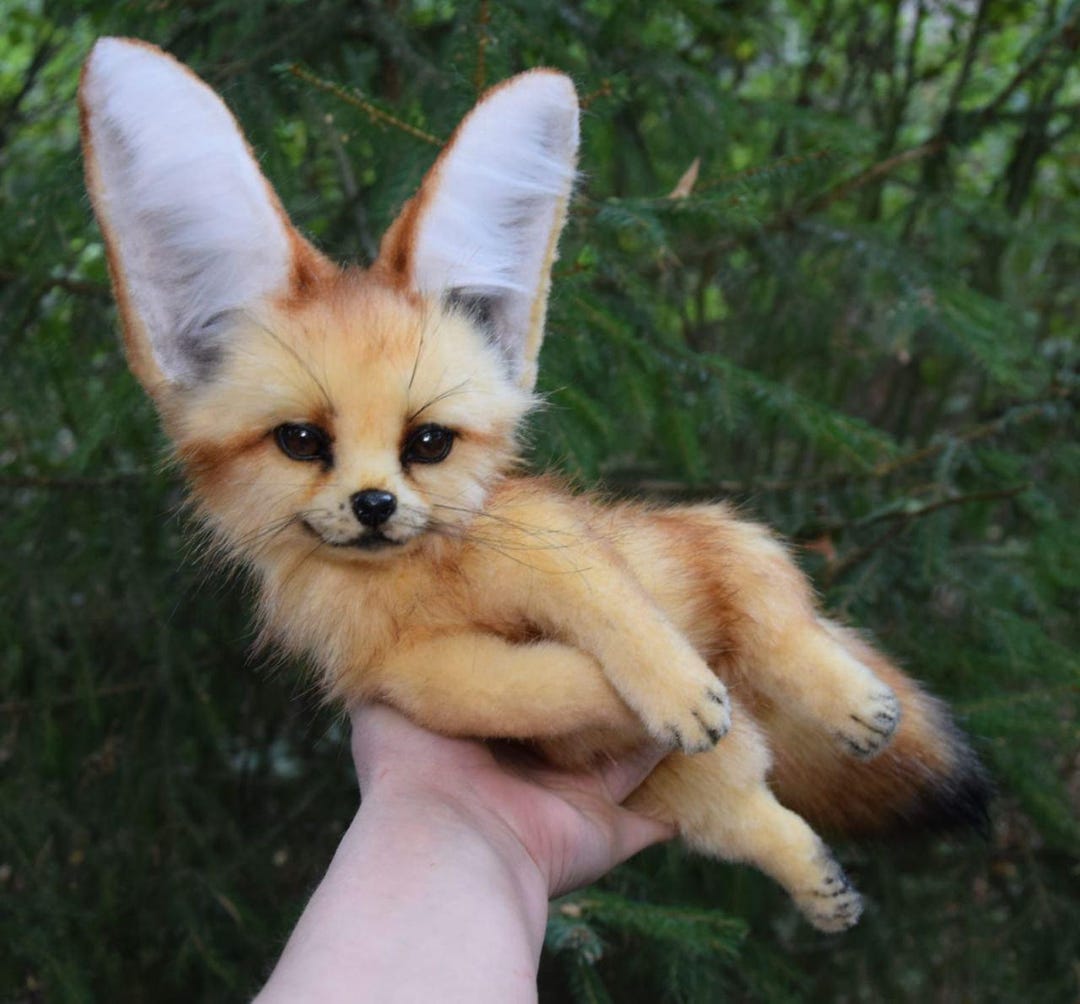 Realistic Handmade Fennec Fox Plush | Lifelike Desert Fox Replica - Etsy