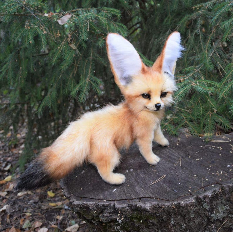 Realistic Handmade Fennec Fox Plush | Lifelike Desert Fox Replica - Etsy