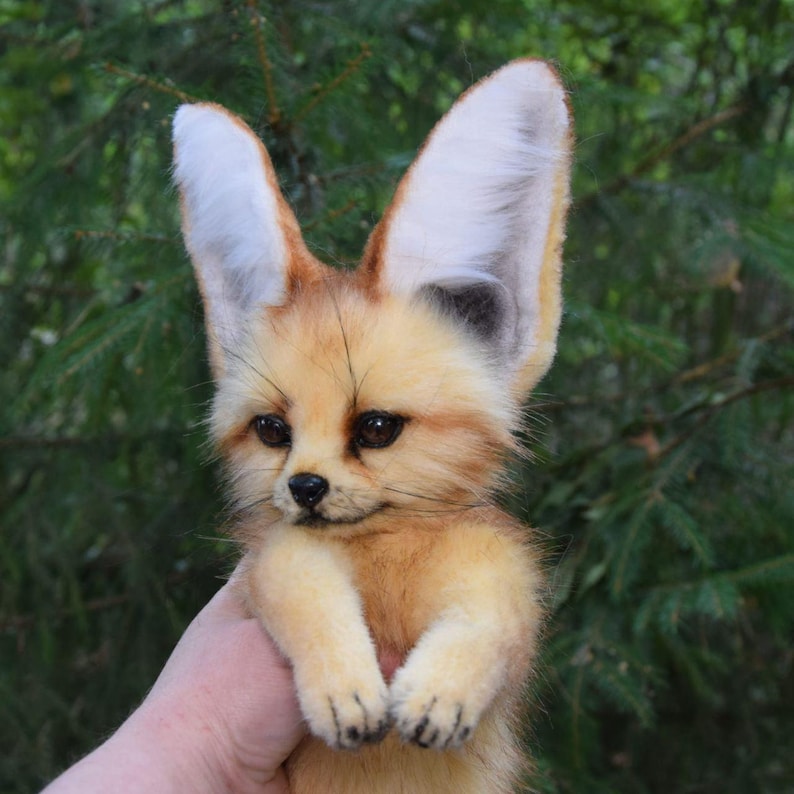 Realistic Handmade Fennec Fox Plush | Lifelike Desert Fox Replica - Etsy