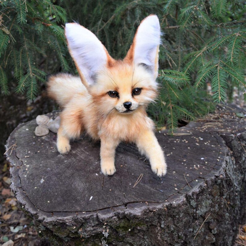 Realistic Handmade Fennec Fox Plush | Lifelike Desert Fox Replica - Etsy