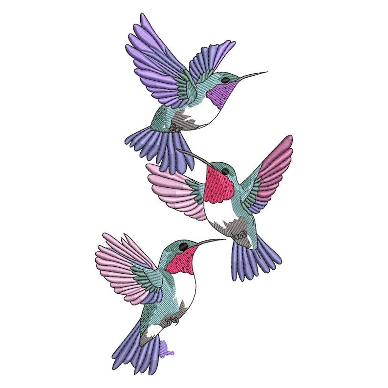 Hummingbird Trio Embroidery Design: Colorful Flying Birds (machine ...