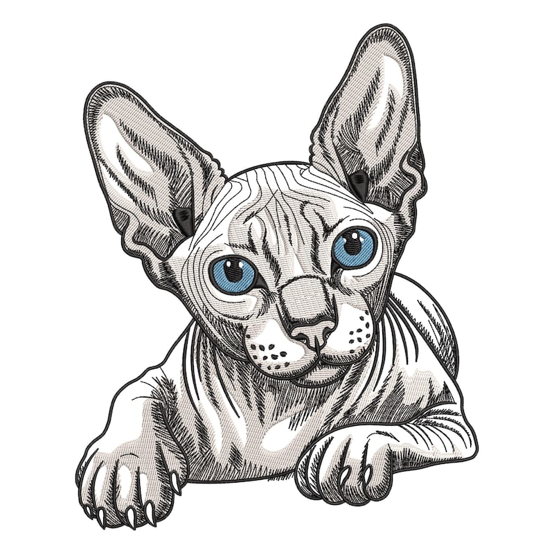 Sphynx Cat Embroidery Kit - Etsy