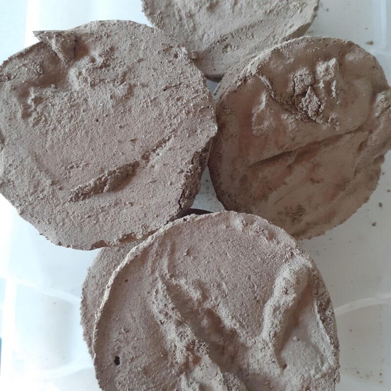 Mississippi Clay Dirt - Etsy