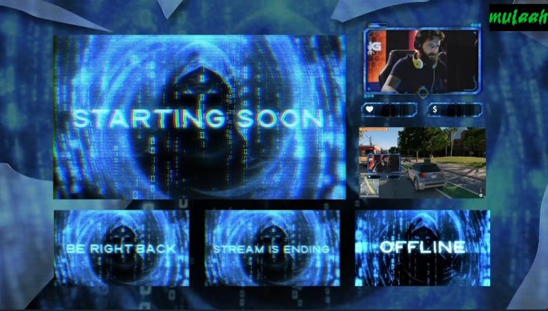 DATA PHANTOM - Twitch Overlay (stream Package) - Etsy