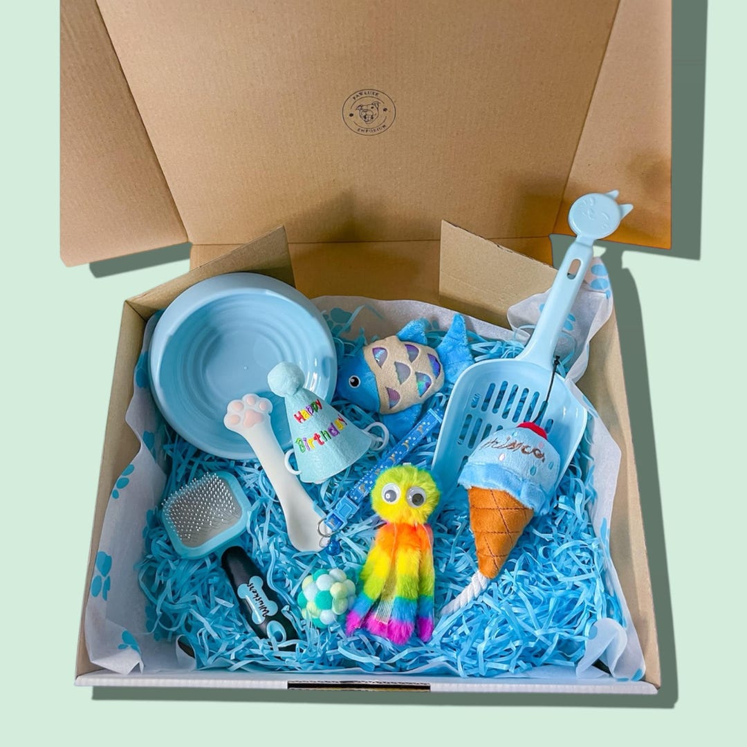 Boy Cat Birthday Hamper, Cat Birthday Box, Cat Birthday Party, Cat ...