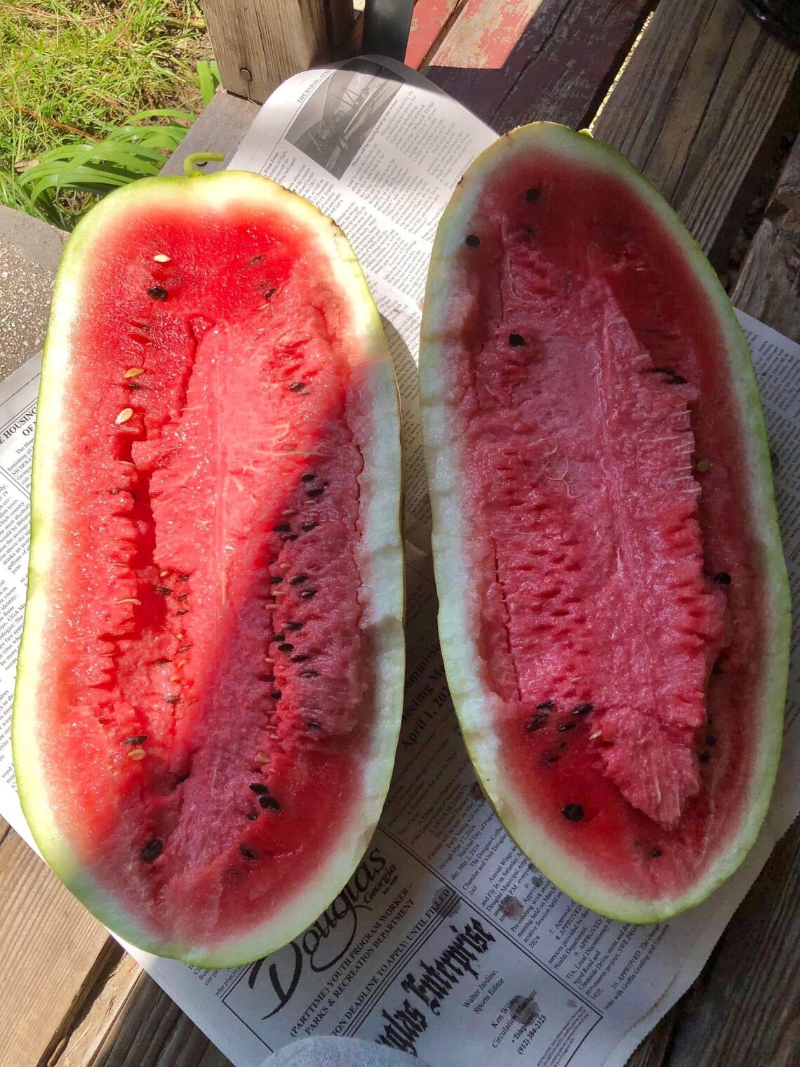 Georgia Rattlesnake Watermelon - Heirloom Seeds - Etsy