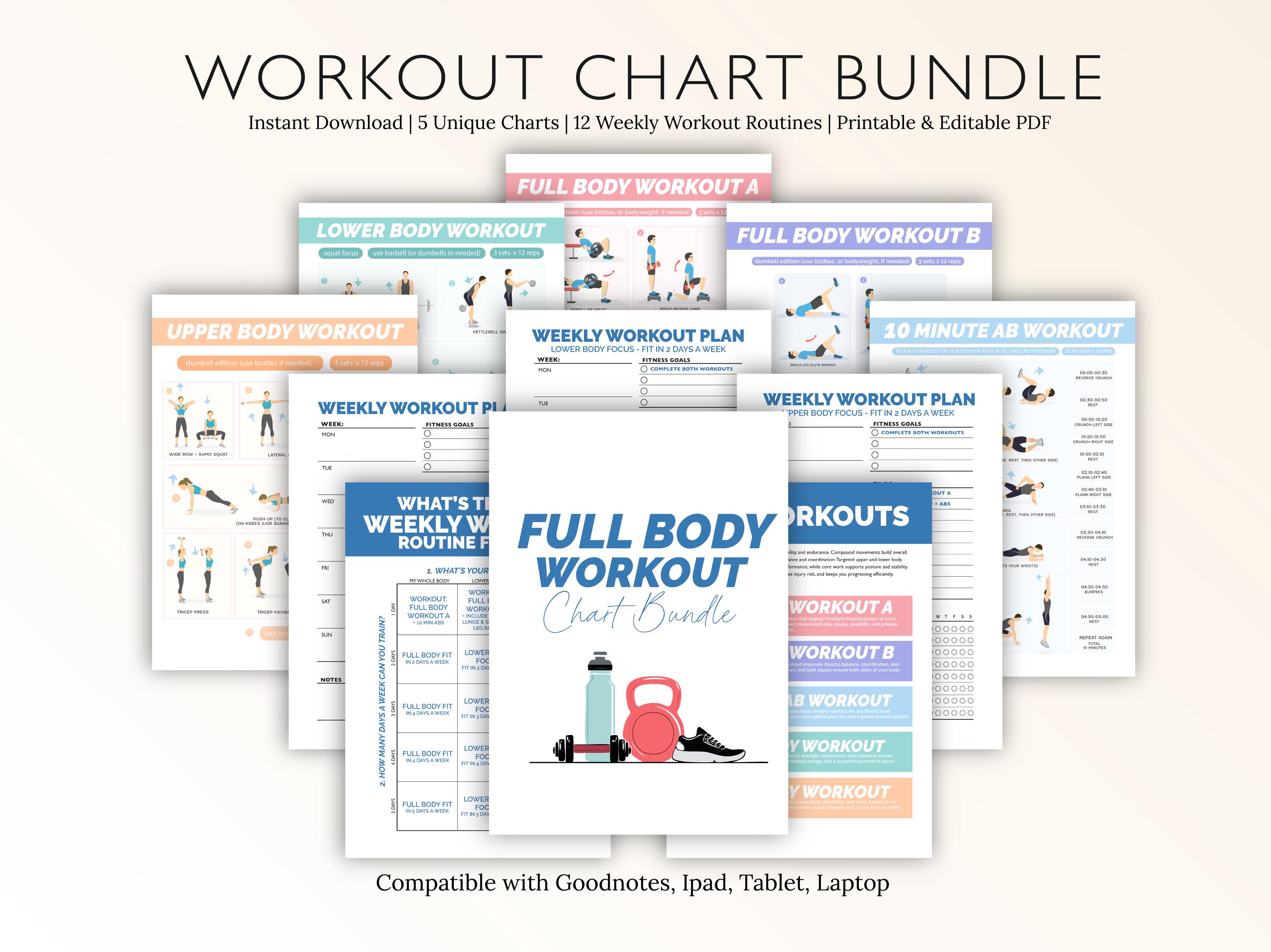 Workout Chart Bundle | Printable Gym Diagrams | Interactive Dumbbell ...