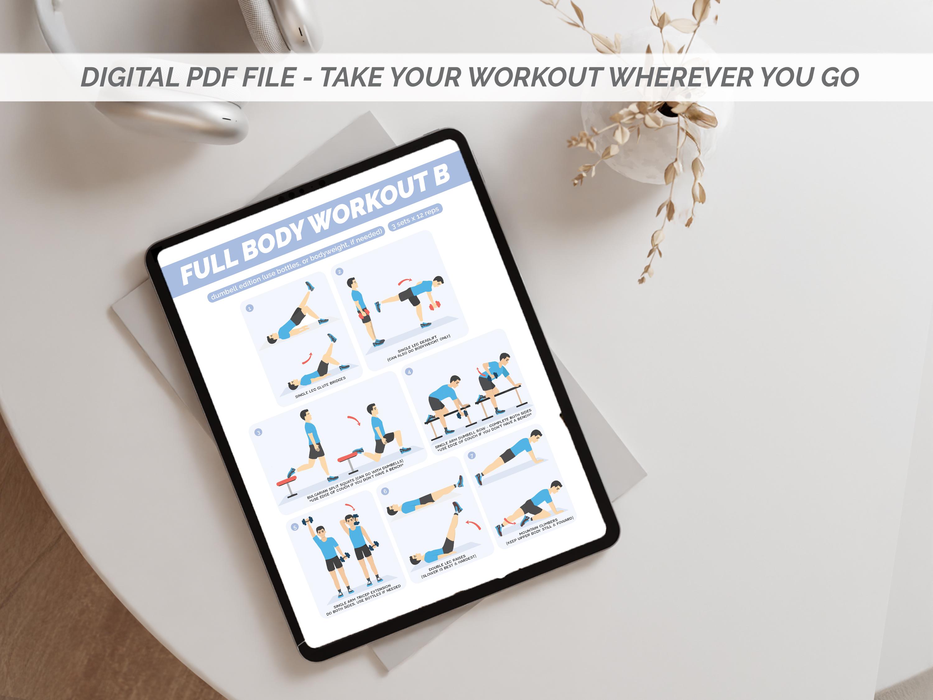 Full Body Workout Chart | Printable Dumbbell Only or Bodyweight ...