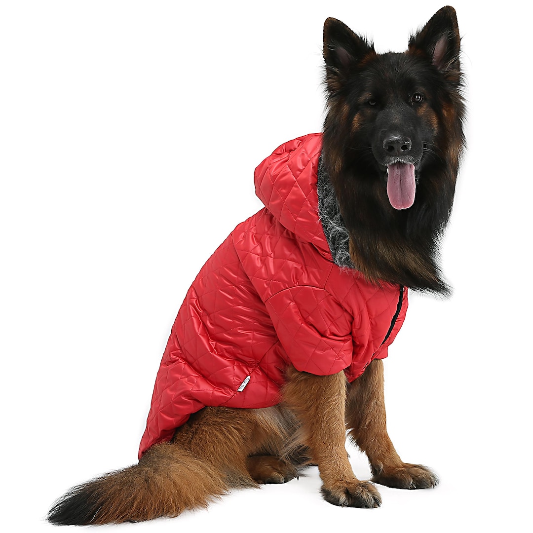 Large Breed Dog Coat: Red Windproof Apparel (24-88LBS) - Etsy