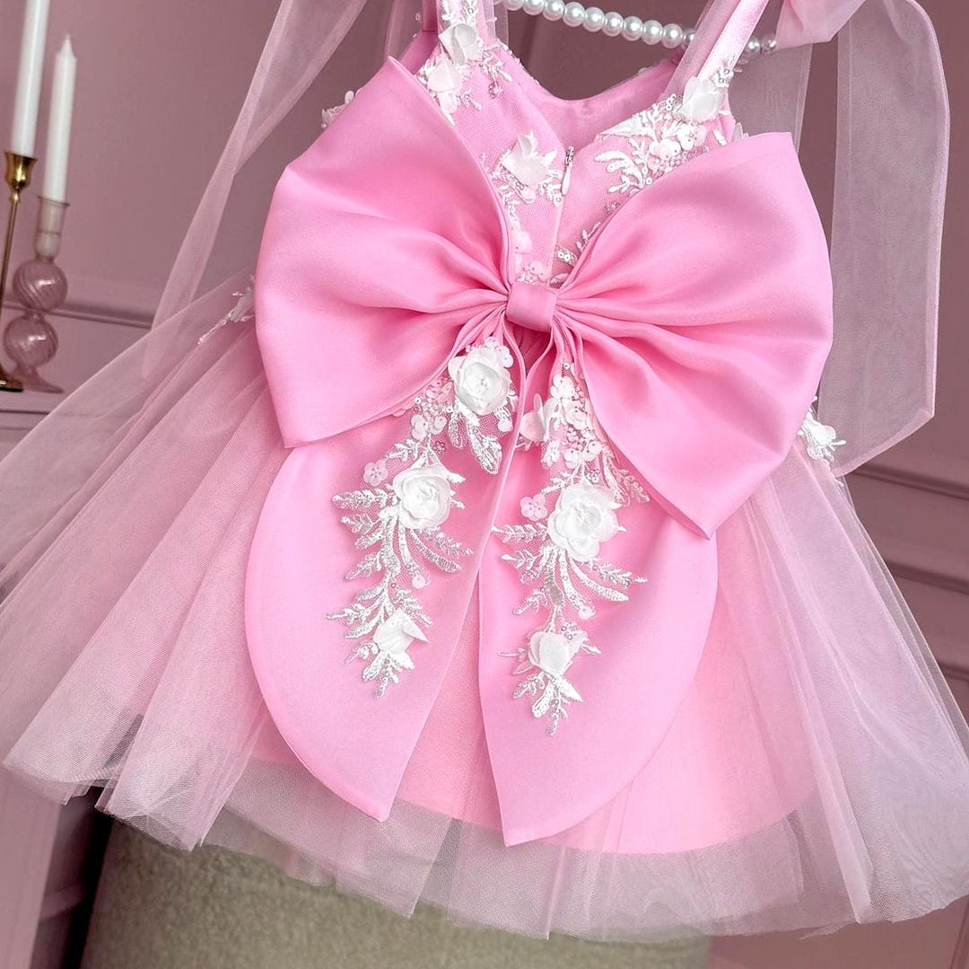 Pink Princess Baby Girl Dress: Special Occasion First Birthday Outfit ...