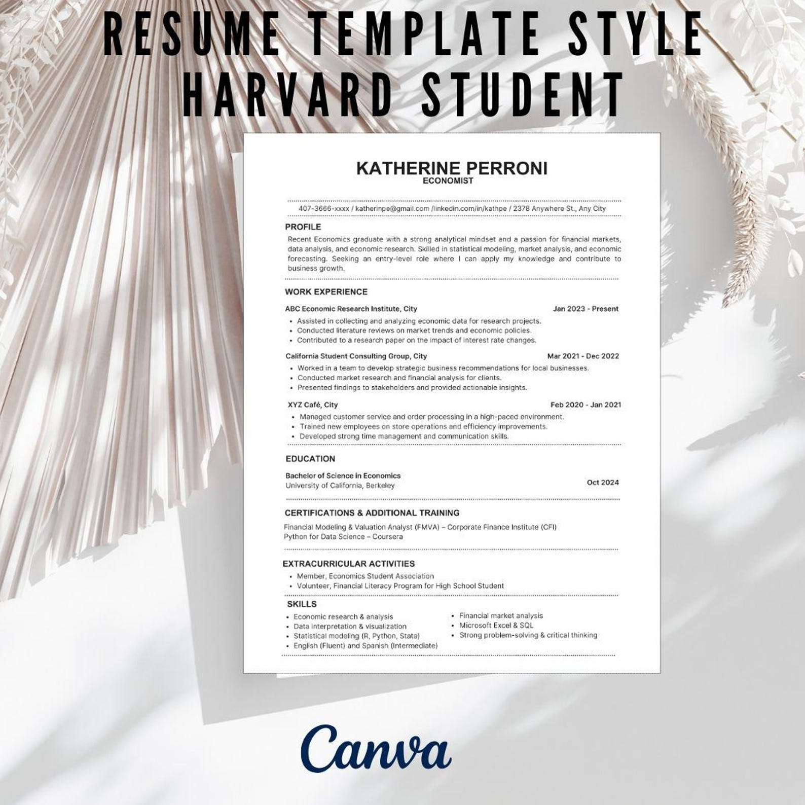 Minimalist and Clean Resume Template Style Harvard Editable in Canva ...