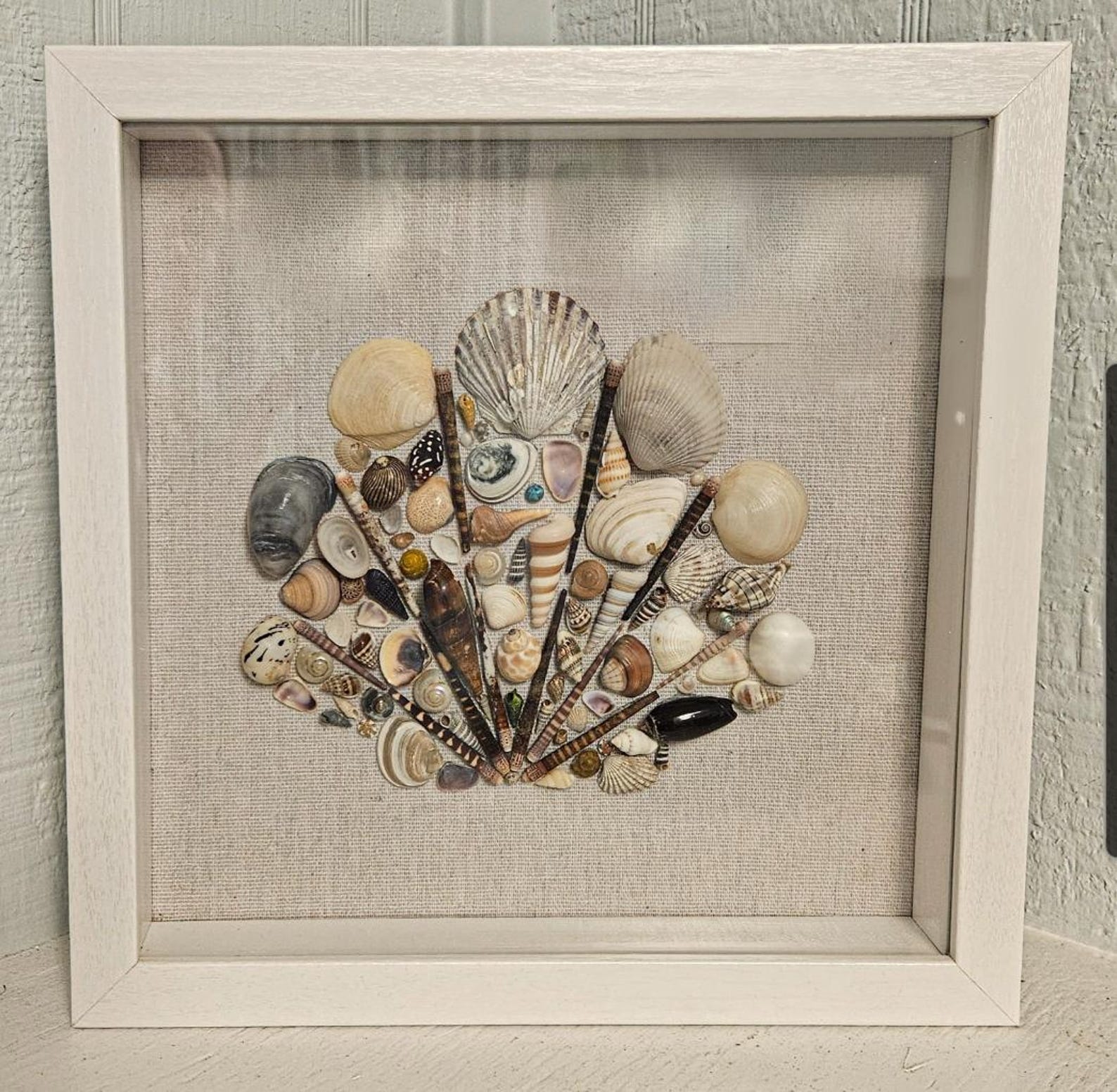 Framed Shell Art Seashell - Etsy