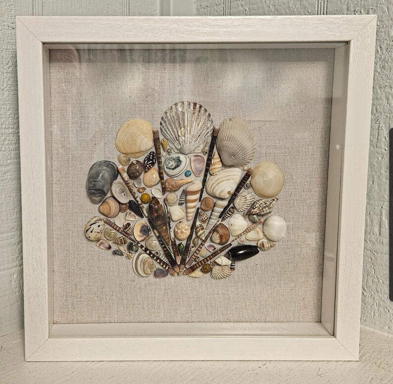 Framed Shell Art Seashell - Etsy