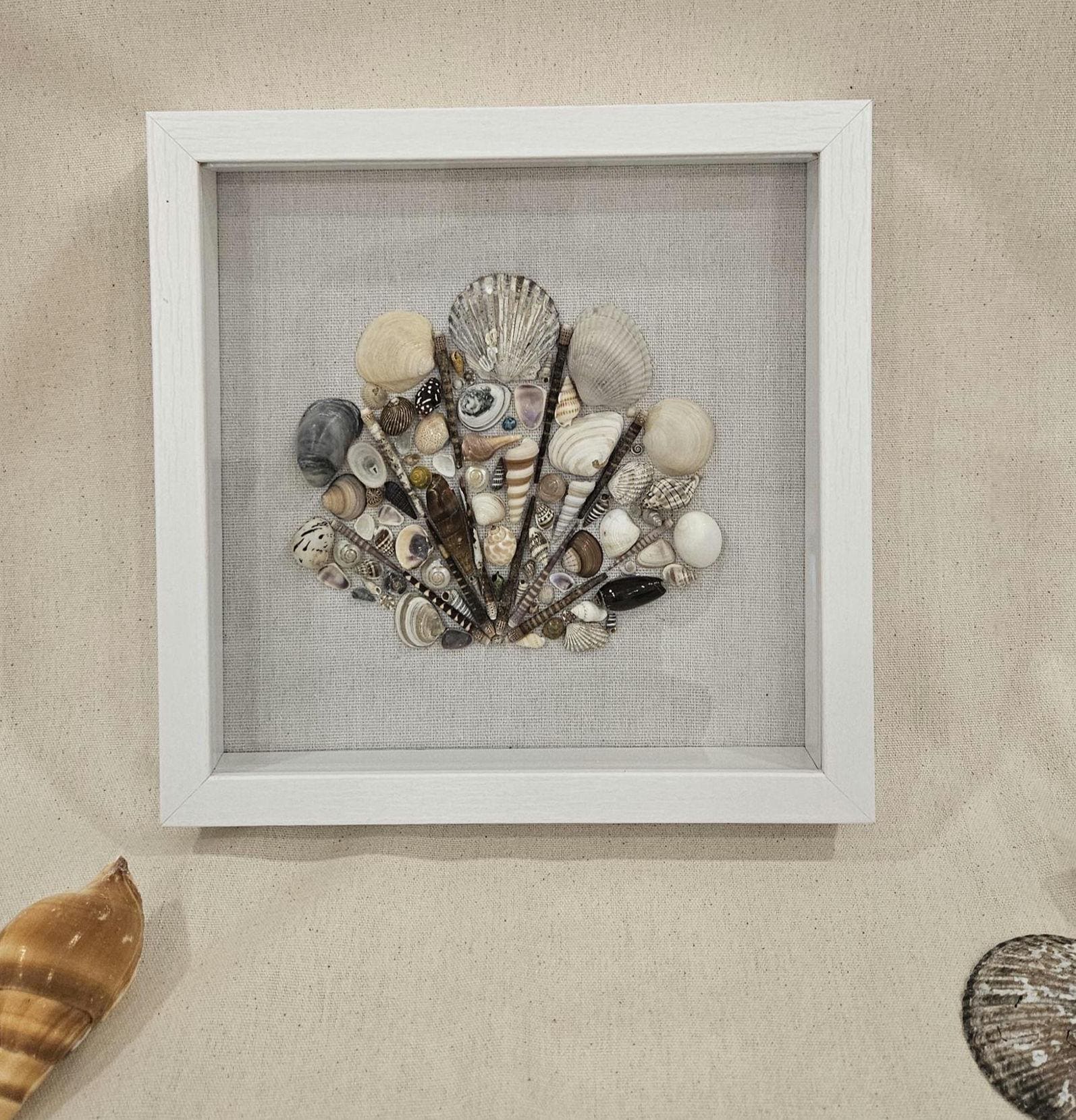 Framed Shell Art Seashell - Etsy