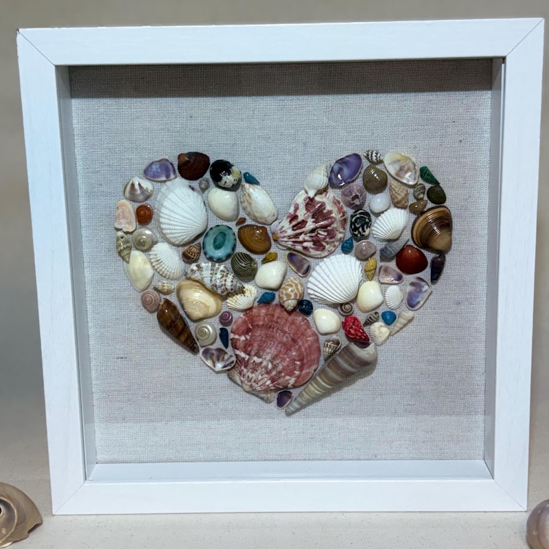Framed Shell Art - Etsy