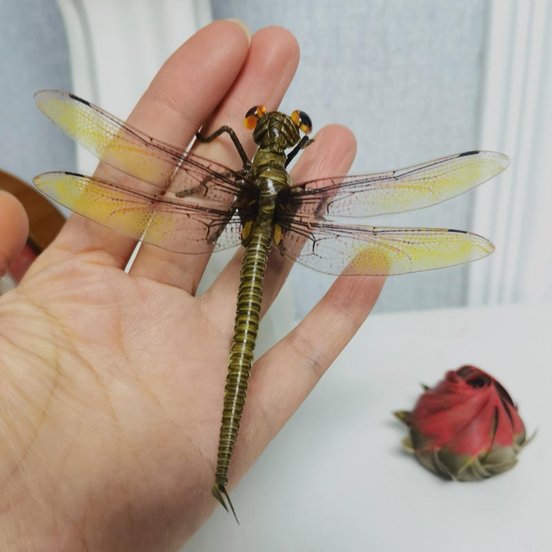 Dragonfly Sculpture - Etsy