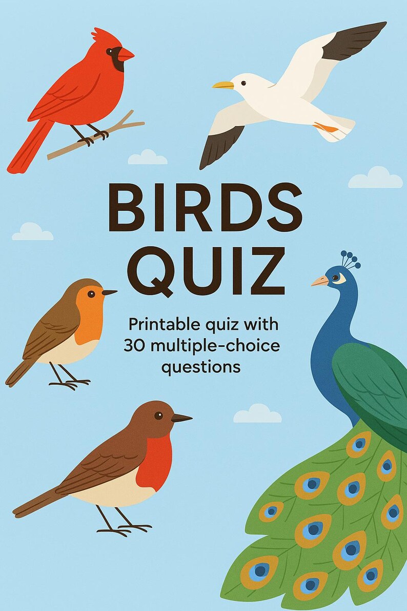 Birds Quiz - Etsy