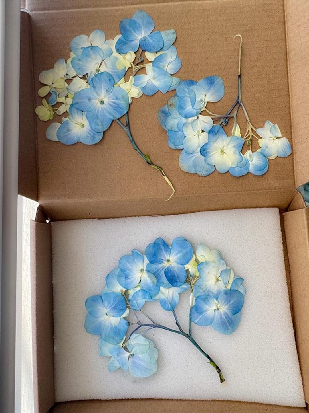 Dried Pressed Blue Hydrangea Flower Sprigs: Real Dried Flowers for ...