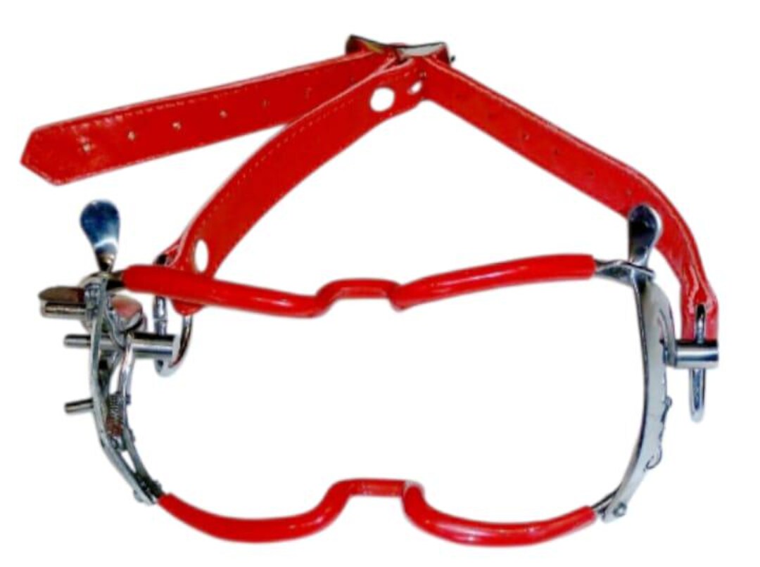 Rot PVC Beschichtet Whitehead Dendo Gag Ratschet Lederband Bondage BDSM ...