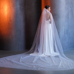 Classic Raw Edge Cathedral Length Bridal Veil, Extra Long Royal Wedding ...
