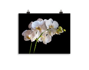 Orchid Print - Etsy