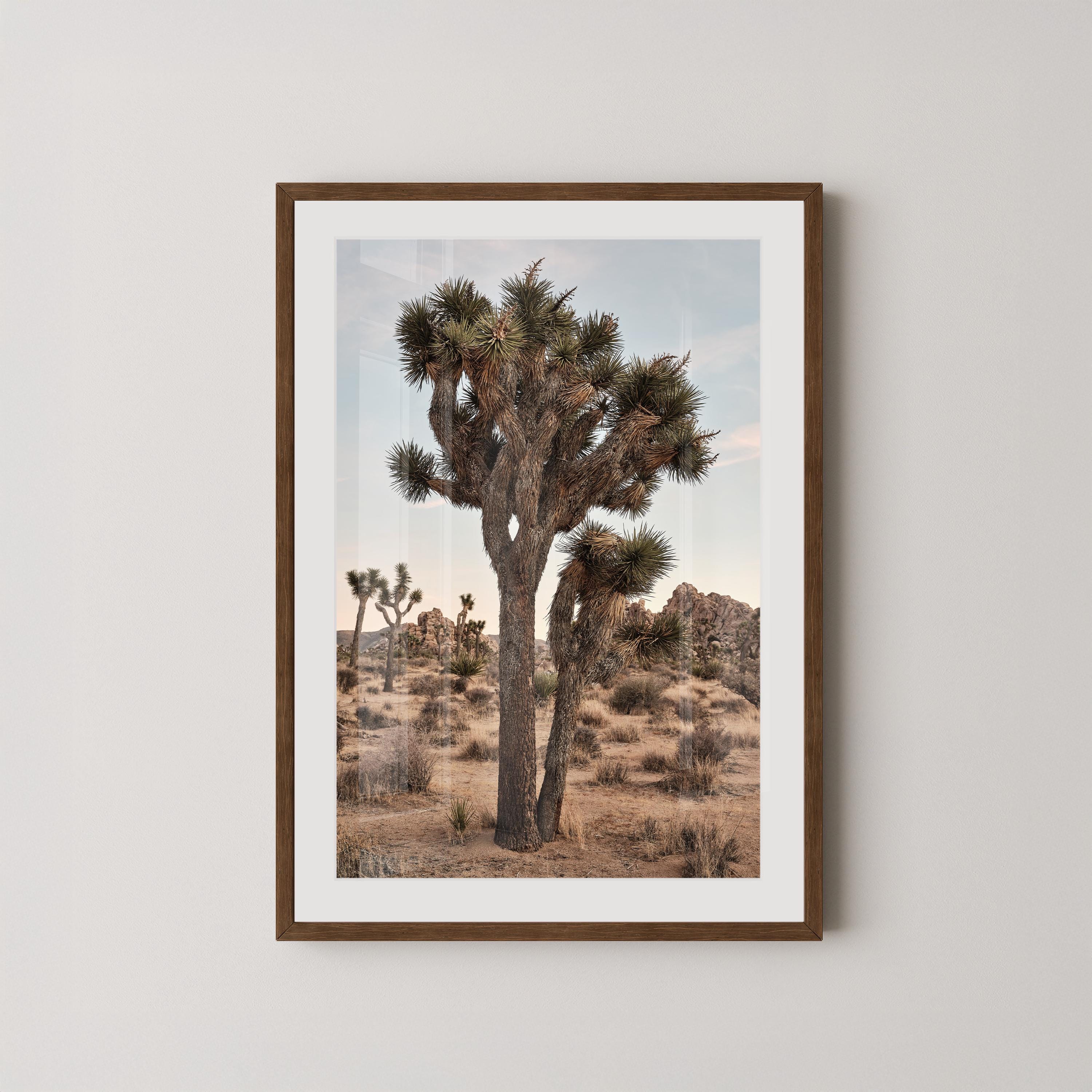 Joshua Tree - Western Photography Art, Joshua Tree Photo, Original ...