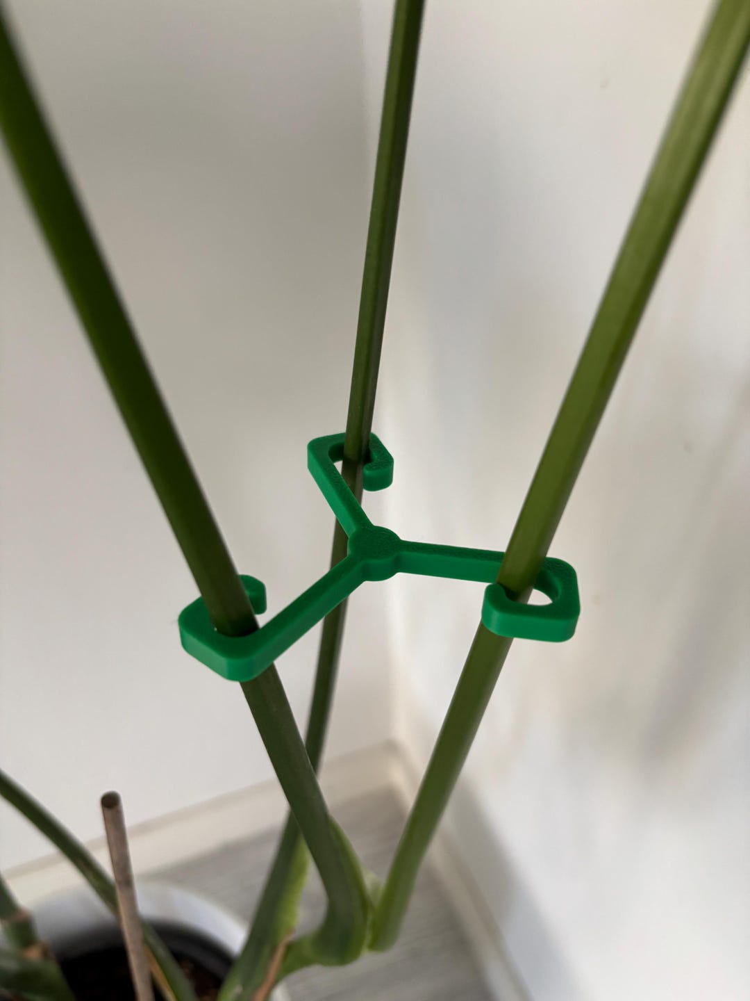 3D Printed Plant Support Hooks: Decorative Stem Stabilizer - Etsy